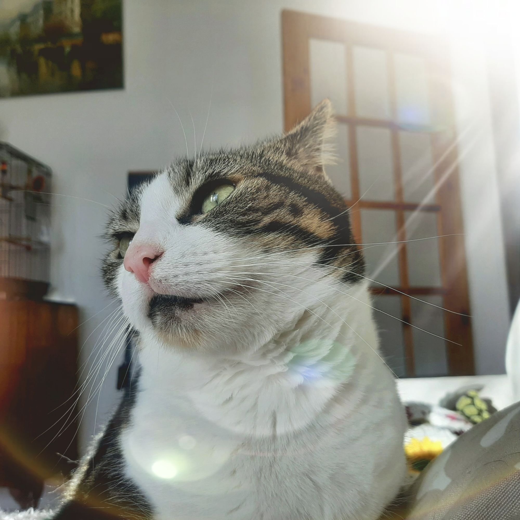 No Name – Bookmarkquinn