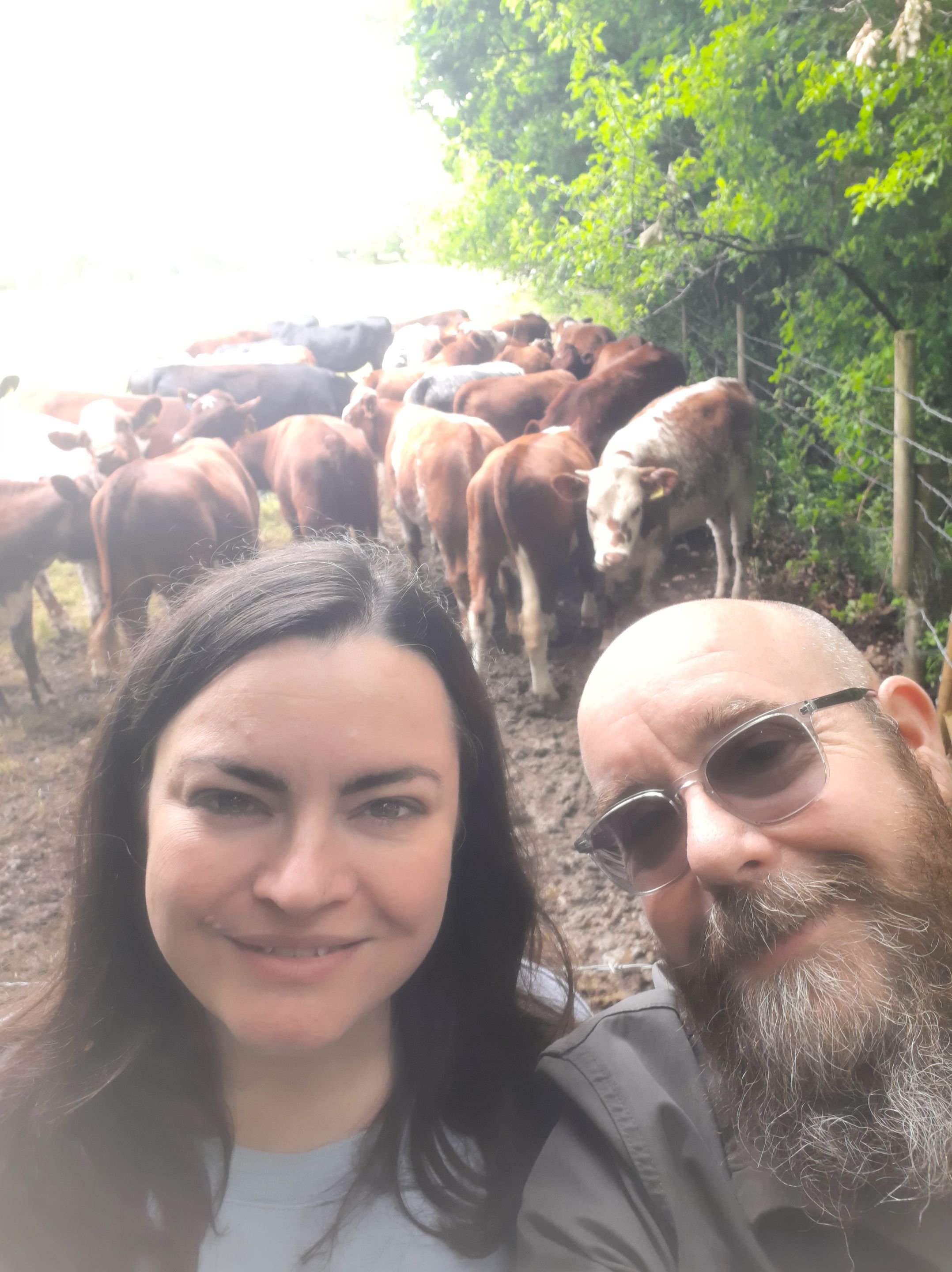 Honesty – Bookmarkquinn