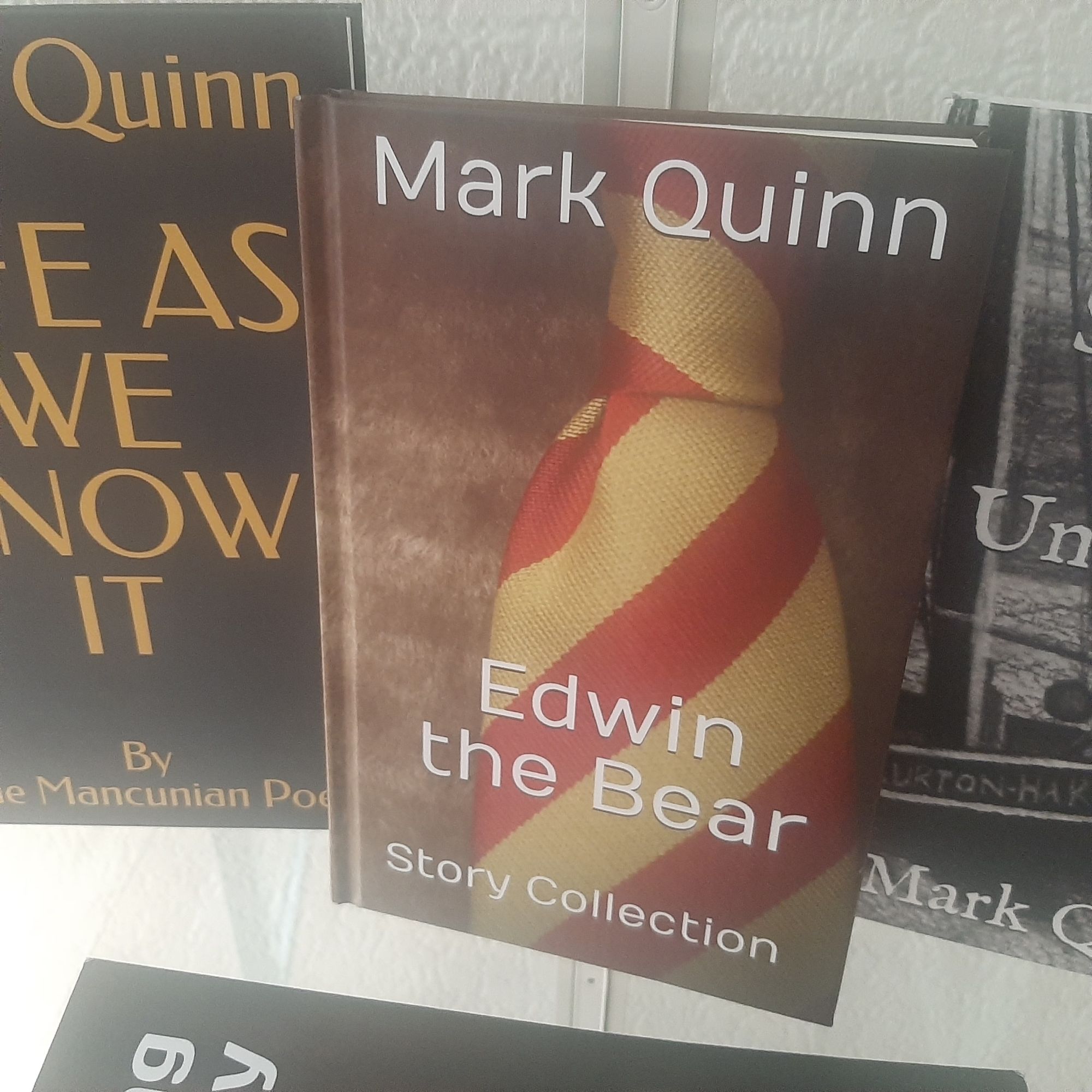 Huckleberry Finn – Bookmarkquinn