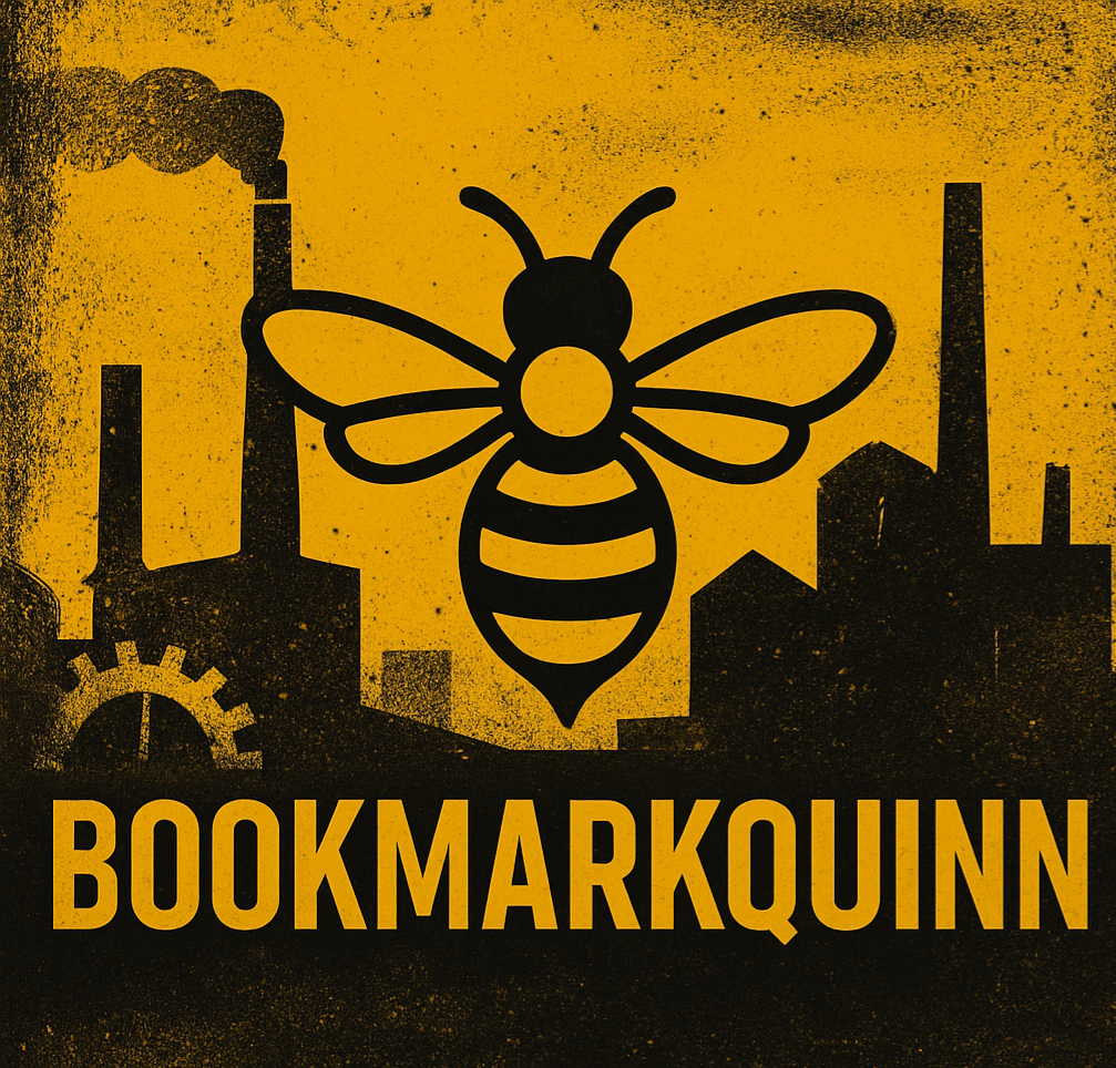 The Window of Notice – Bookmarkquinn